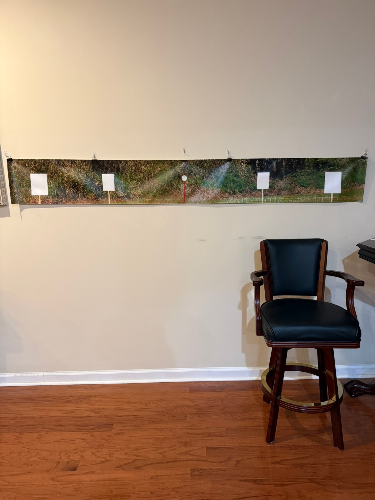 How Steel Shoot Dry Fire Banners Transformed My Training and My Match ...